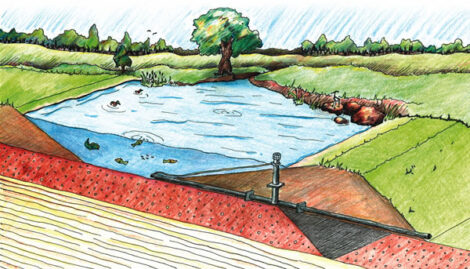 Build a Pond – Mother Earth News